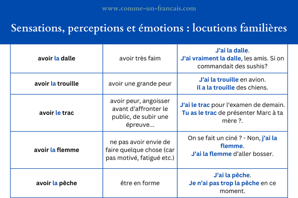 Quelques locutions avec "avoir" : exercice de compréhension - Comme un ...